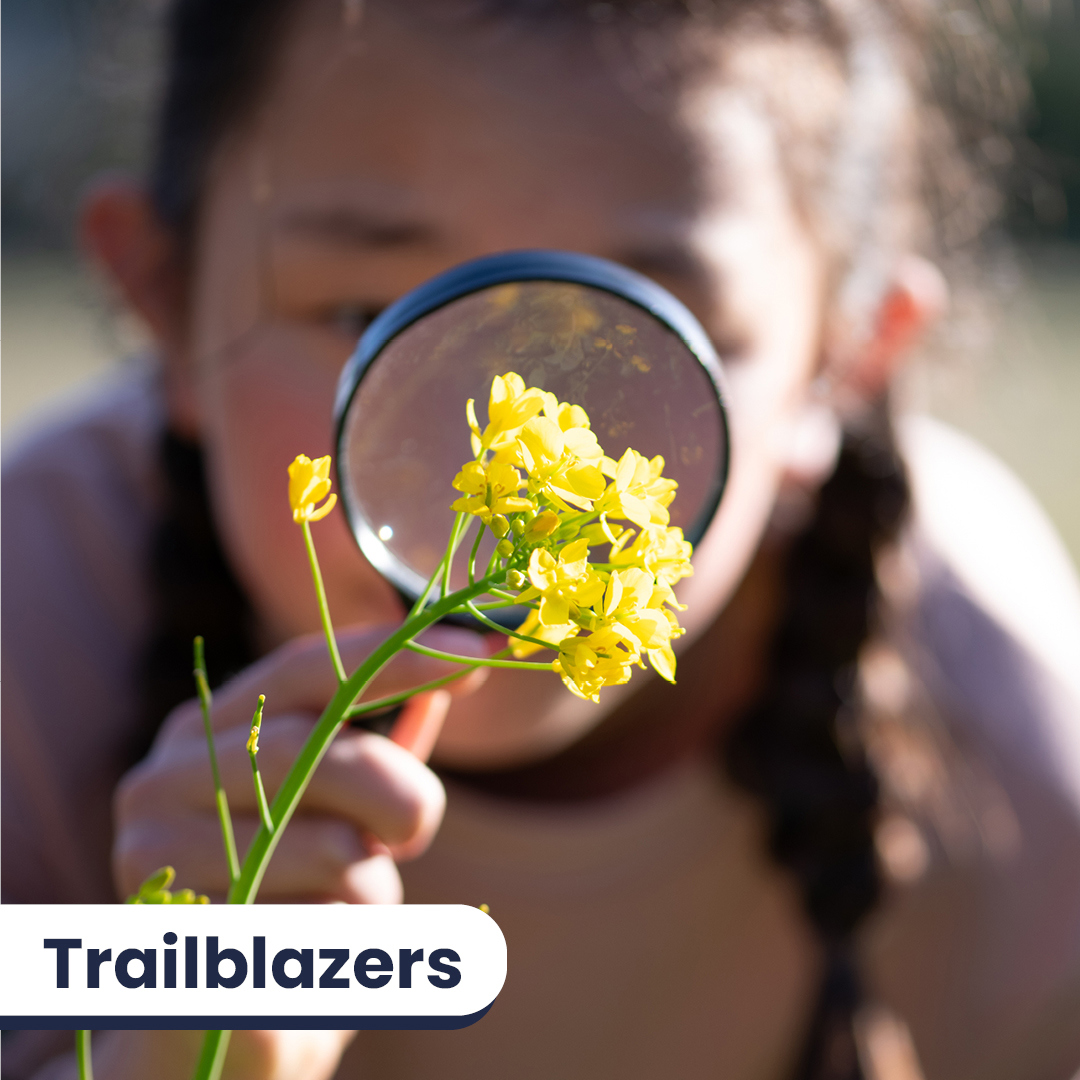 Recreation Programs | Gravenhurst