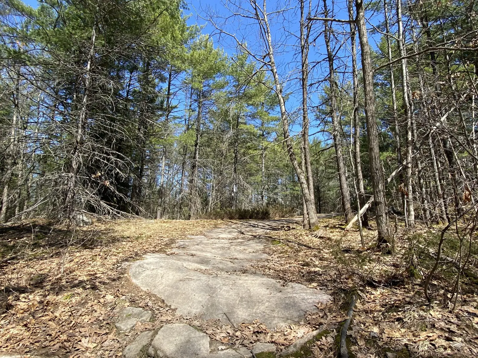 Old Stone Road Trail | Gravenhurst