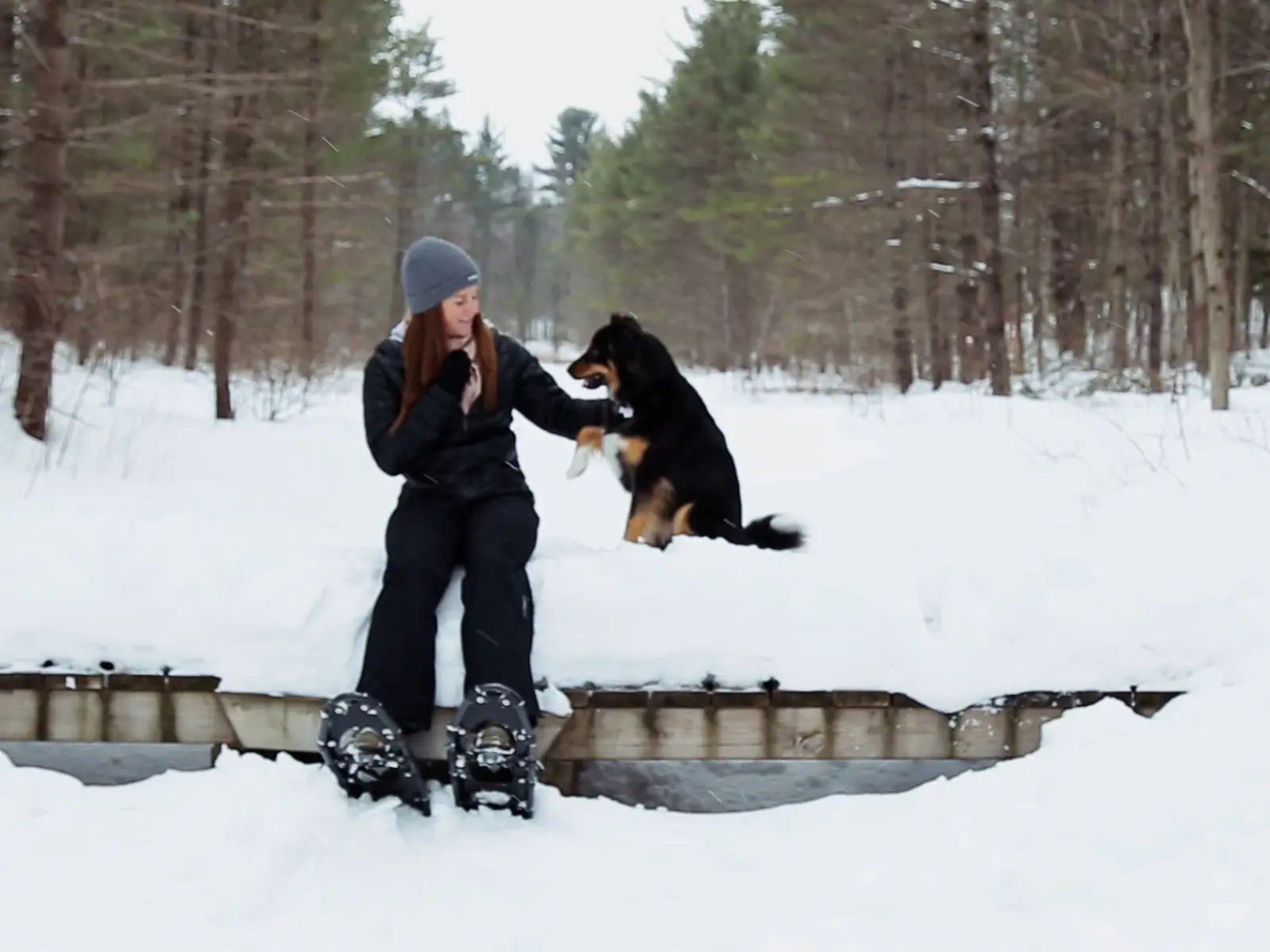 Visit Gravenhurst | Gravenhurst