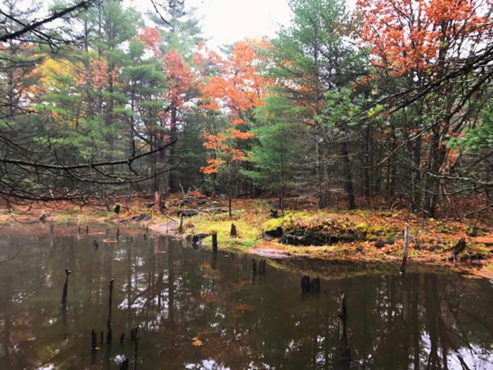 Kahshe Barrens Trail | Gravenhurst