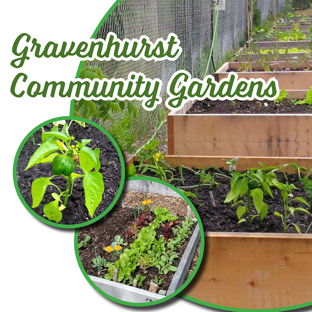 Community Gardens | Gravenhurst