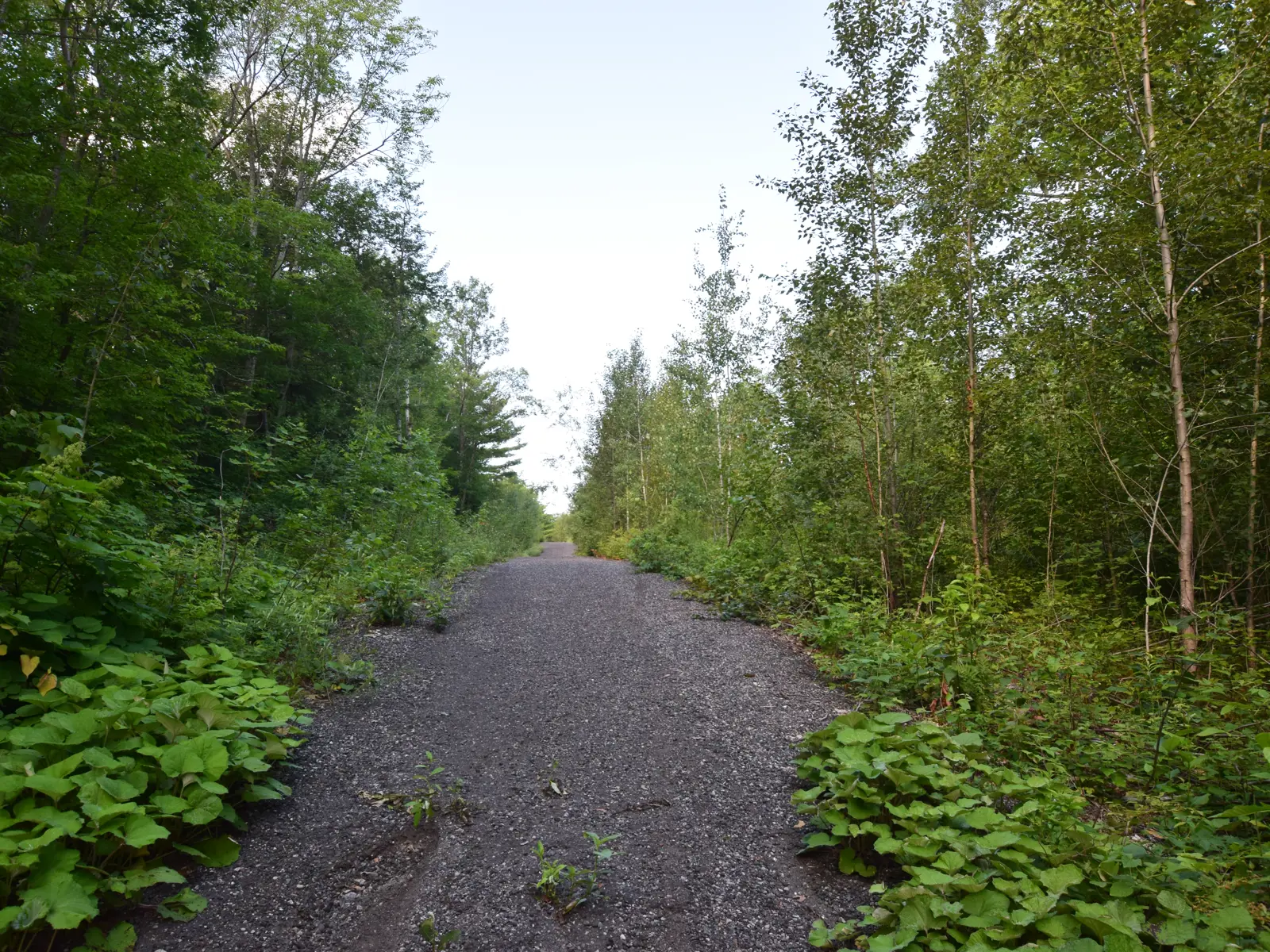 Chamberlain Trail | Gravenhurst