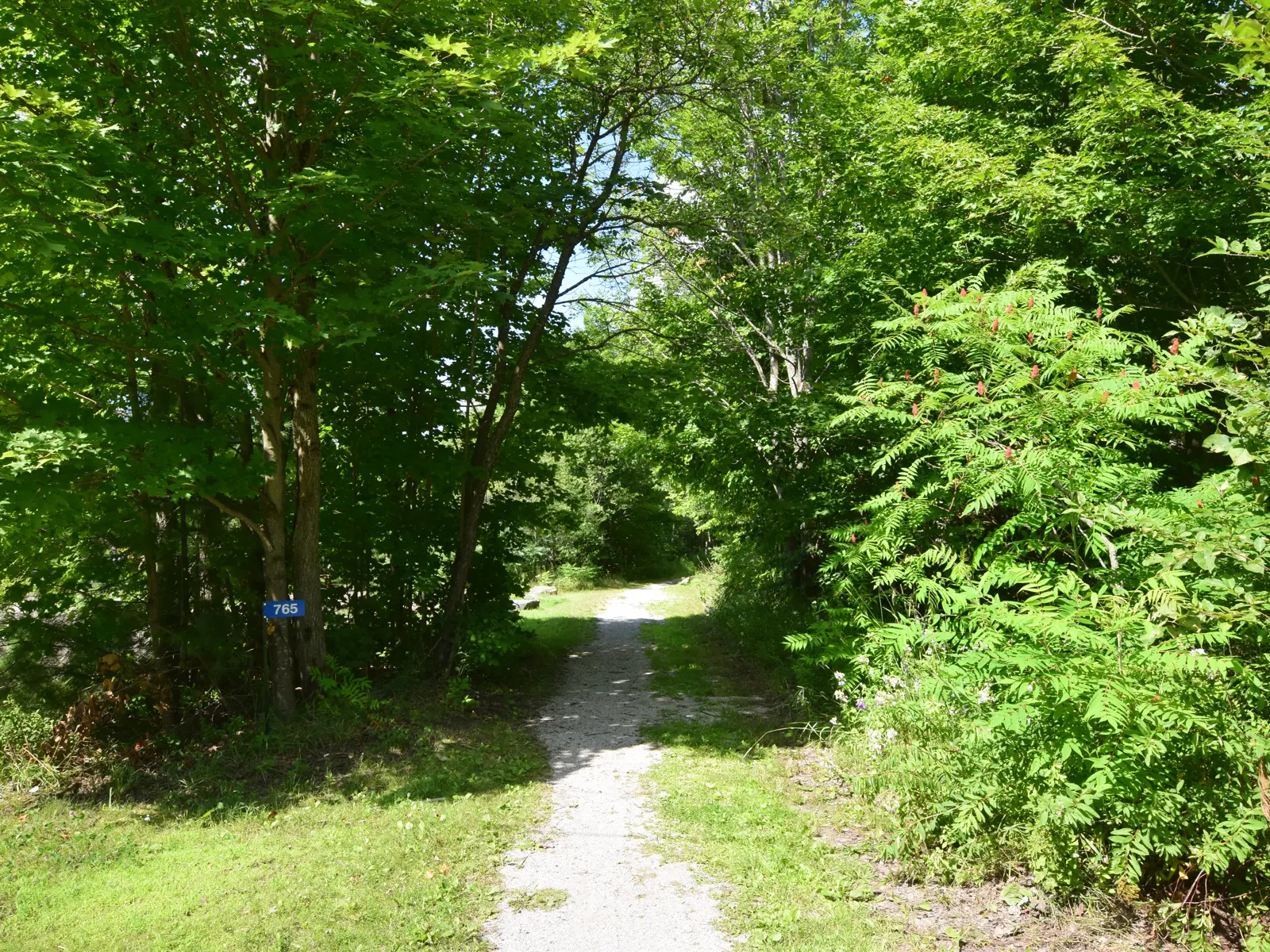 Leo Heritage Trail | Gravenhurst