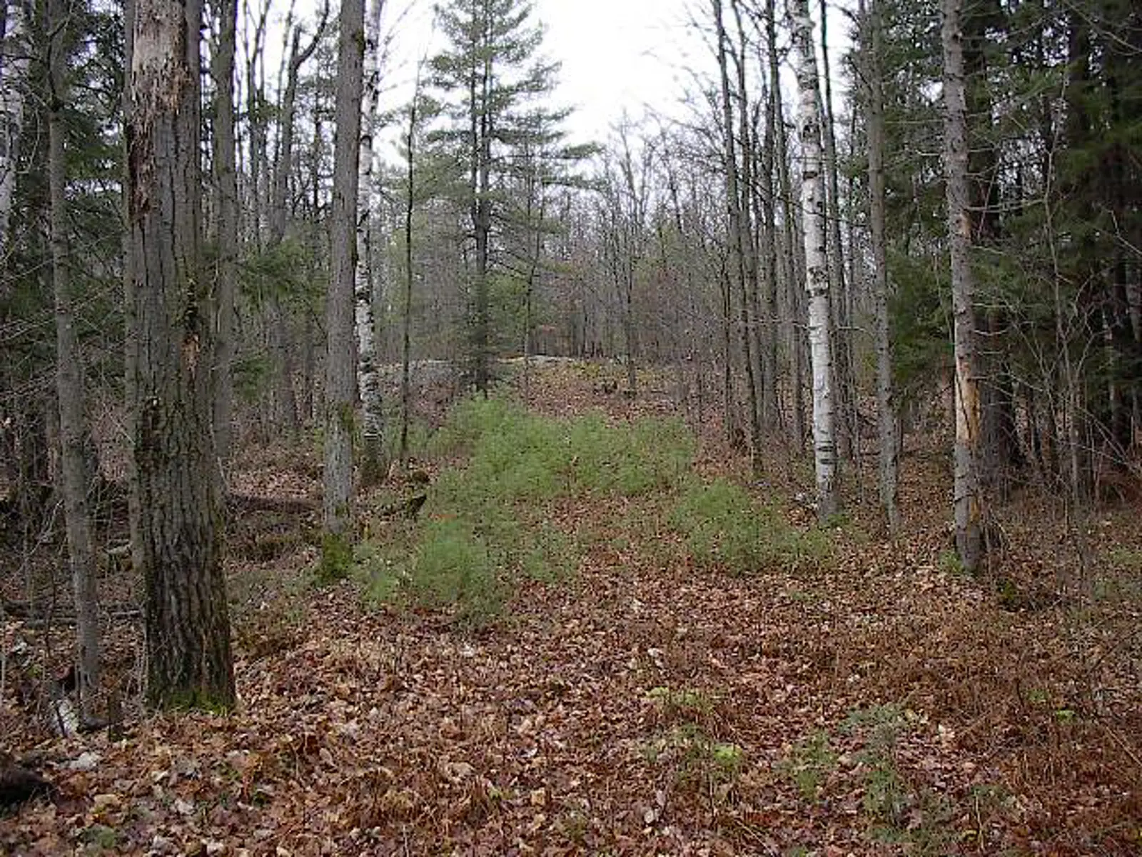 Hahne Farm Trail | Gravenhurst