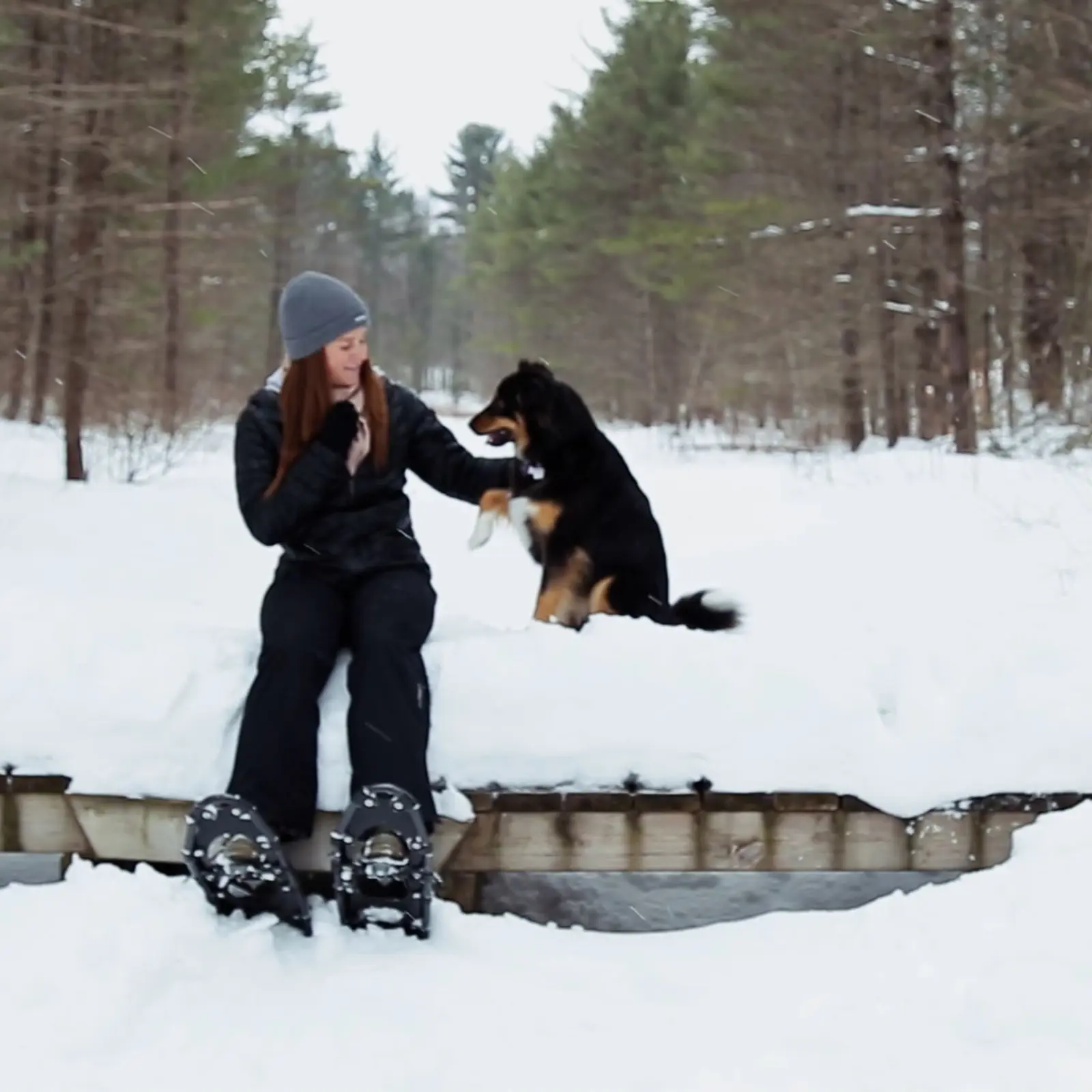 Plan Your Visit | Gravenhurst